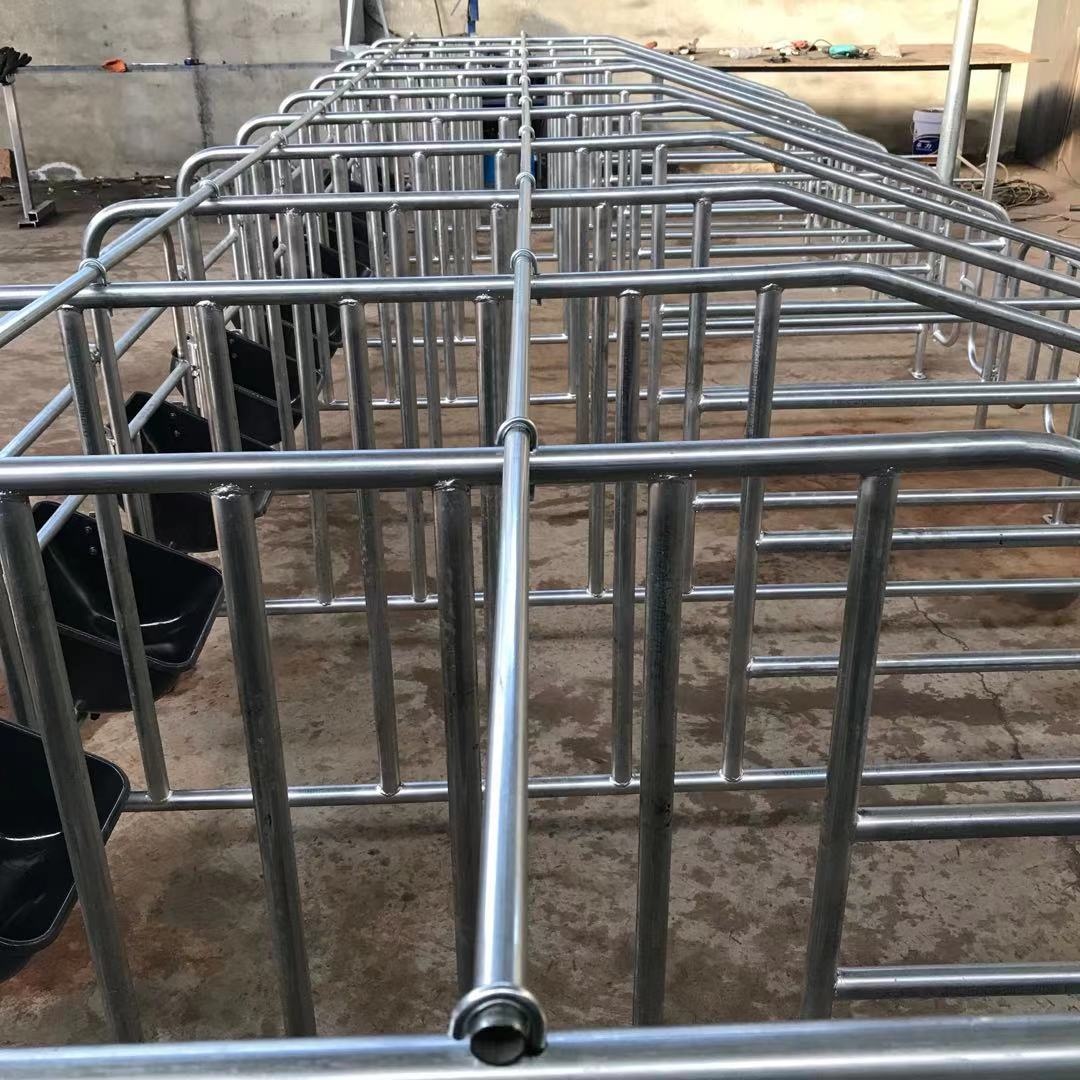 Galvanized Cages Gestation Stall Or Insemination Stall for Sow - Buy ...