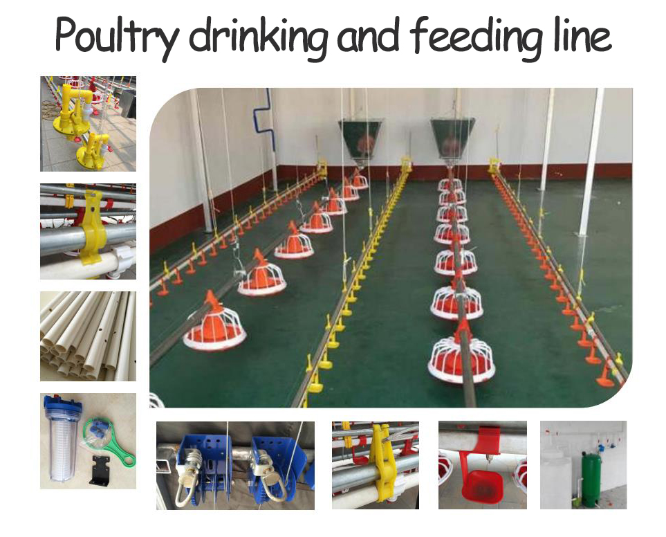 Water supply is importation Chicken farm - phoenix