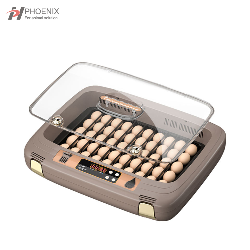 Mini Egg Incubator - Buy mini egg incubator, mini egg incubators ...