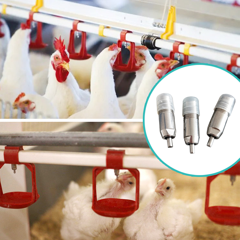 PH-03 Stainless Steel 304 Threaded Nipple Drinker with Screwed - Buy ...