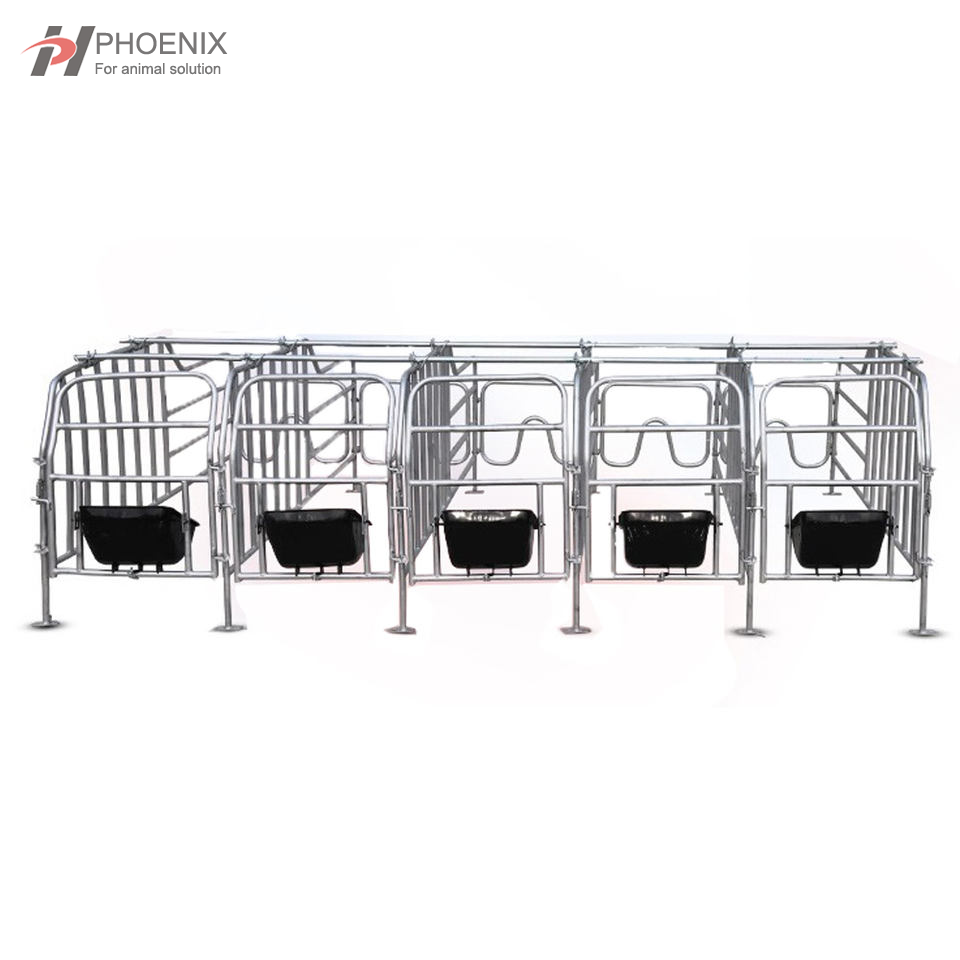 Galvanized Cages Gestation Stall Or Insemination Stall for Sow - Buy ...