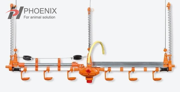 Automatic Chicken Drinking Line Complete Drinking Equipment for Poultry ...