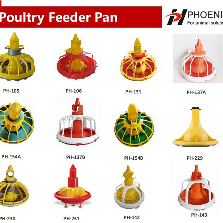 Automatic Chicken Breeding Equipment - Buy automatic chicken feeding ...