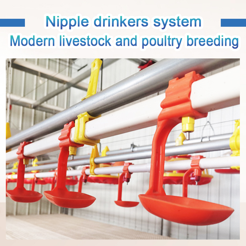 Ph-01 Autoamtic Cone Valve Poultry Water Nipple Drinker - Buy Chicken ...